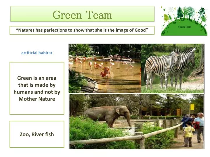 PPT - Green Team PowerPoint Presentation, free download - ID:2627652