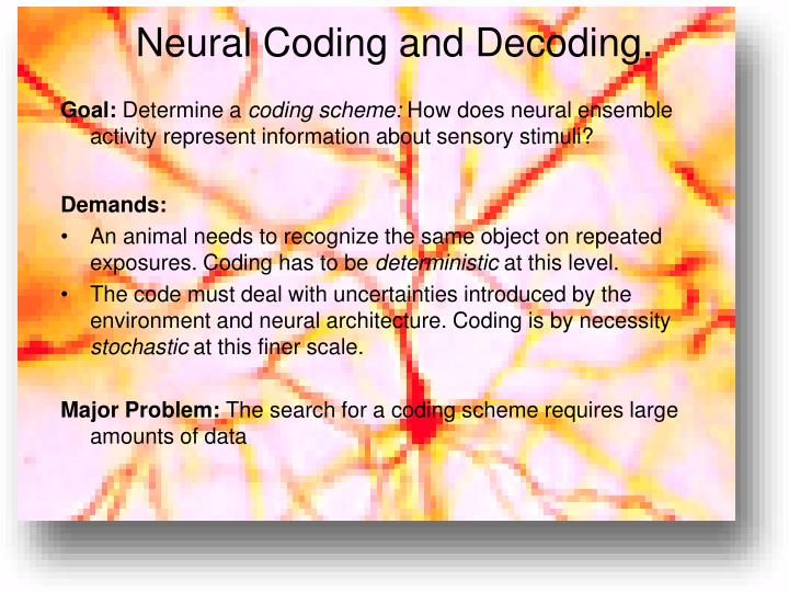PPT - Center for Computational Biology Department of Mathematical ...