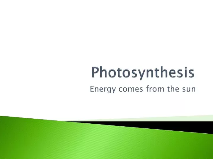 PPT - Photosynthesis PowerPoint Presentation, free download - ID:2629340