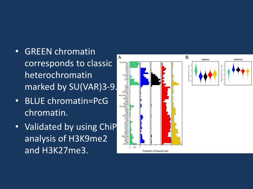 PPT - Derek Oh & Eric Tarapore Bio Sci D145 2.20.14 PowerPoint ...