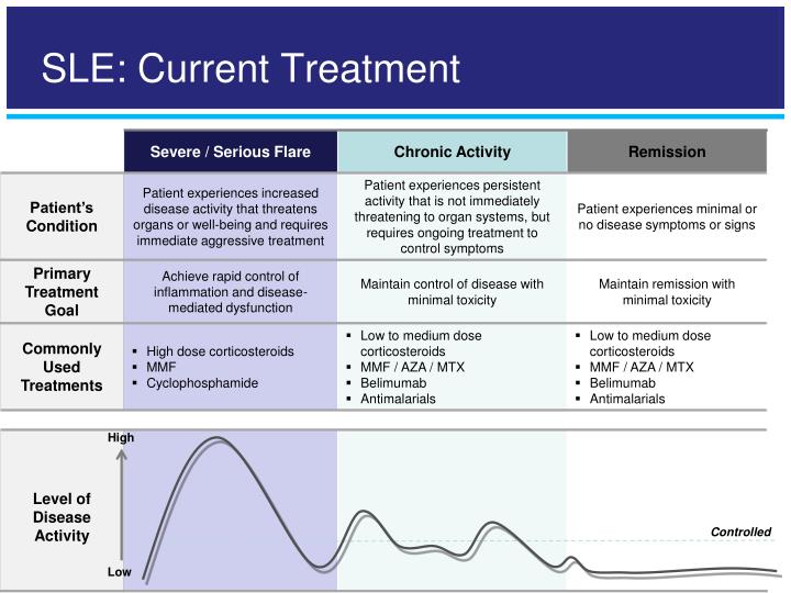 PPT - Sytemic Lupus Erythematosis PowerPoint Presentation - ID:2631561