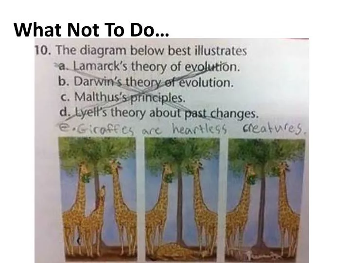 PPT - What Not To Do… PowerPoint Presentation, free download - ID:2631691