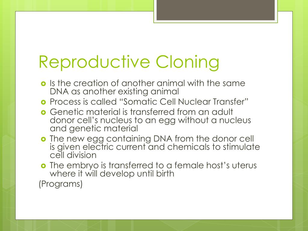 Ppt Cloning Powerpoint Presentation Free Download Id 2632240