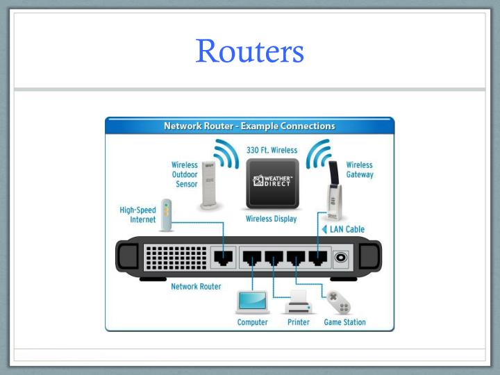 PPT - The Basic Components of Computer Network PowerPoint Presentation ...