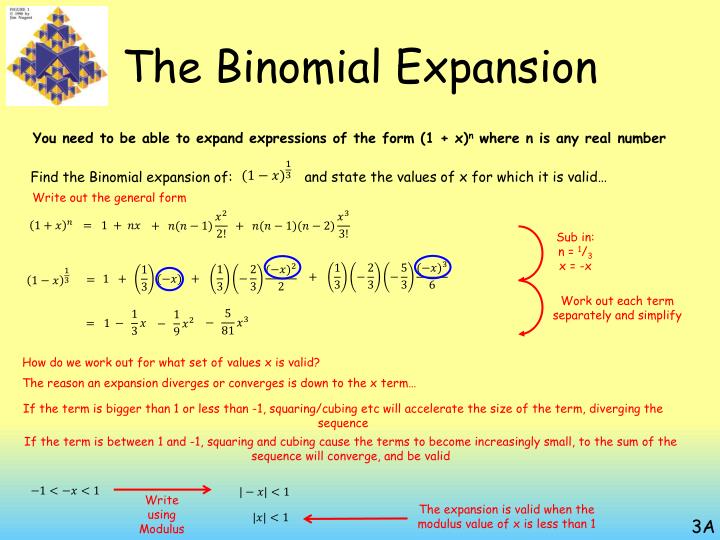 PPT - The Binomial Expansion PowerPoint Presentation - ID:2633501