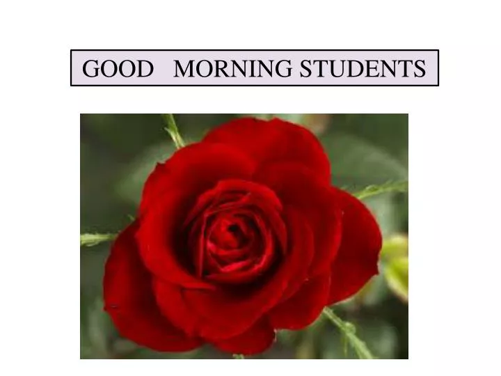 PPT - GOOD MORNING STUDENTS PowerPoint Presentation, free download - ID ...