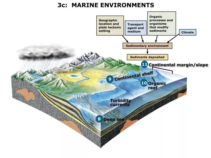 PPT - 3c: MARINE ENVIRONMENTS PowerPoint Presentation, free download ...