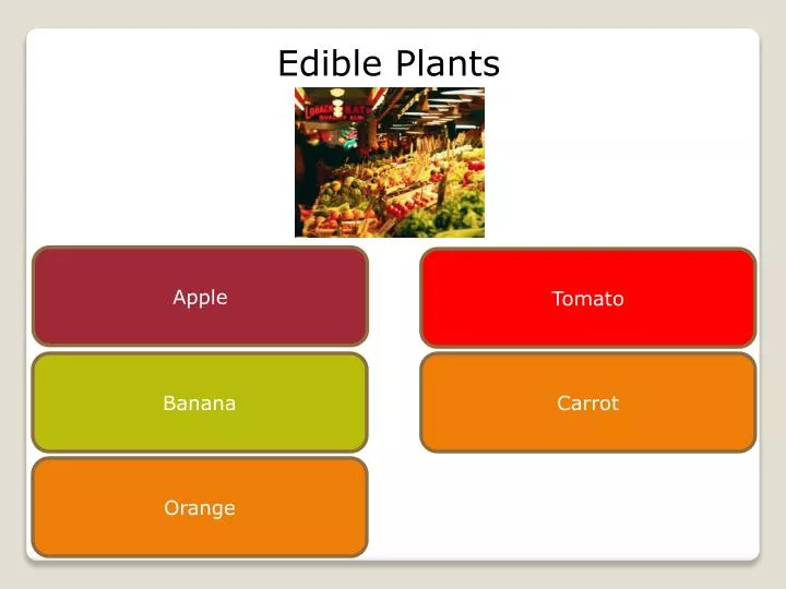 PPT - Edible Plants PowerPoint Presentation, free download - ID:2634110
