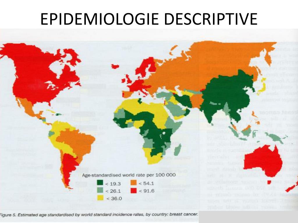 PPT - EPIDEMIOLOGIE DU CANCER DU SEIN PowerPoint Presentation, free ...