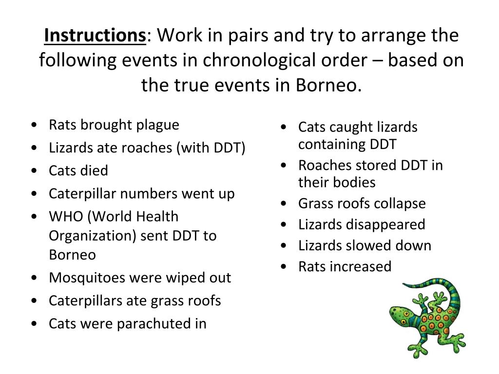 PPT - Rats brought plague Lizards ate roaches (with DDT) Cats died ...