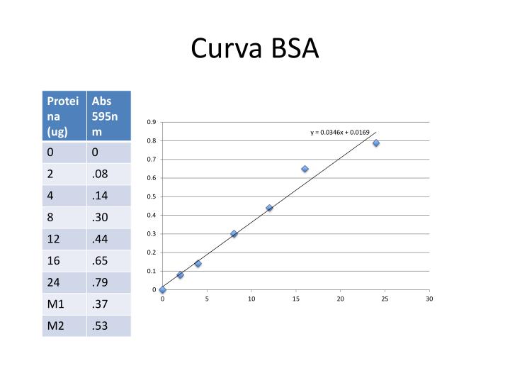 PPT - Bradford/ BioRad Protein Assay PowerPoint Presentation - ID:2635140