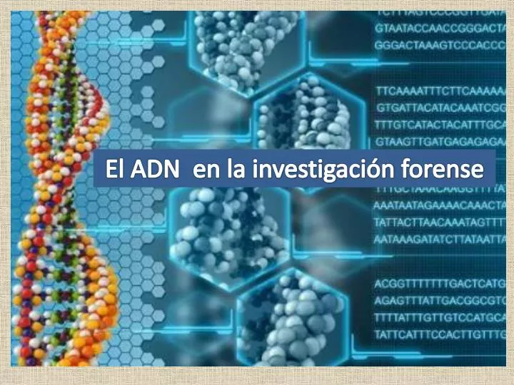 PPT - El ADN en la investigación forense PowerPoint Presentation, free ...