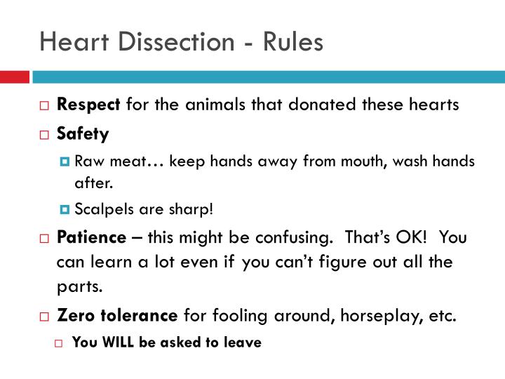 PPT - Homework: Review Heart Dissection Pre-Lab and Procedures Do Now ...