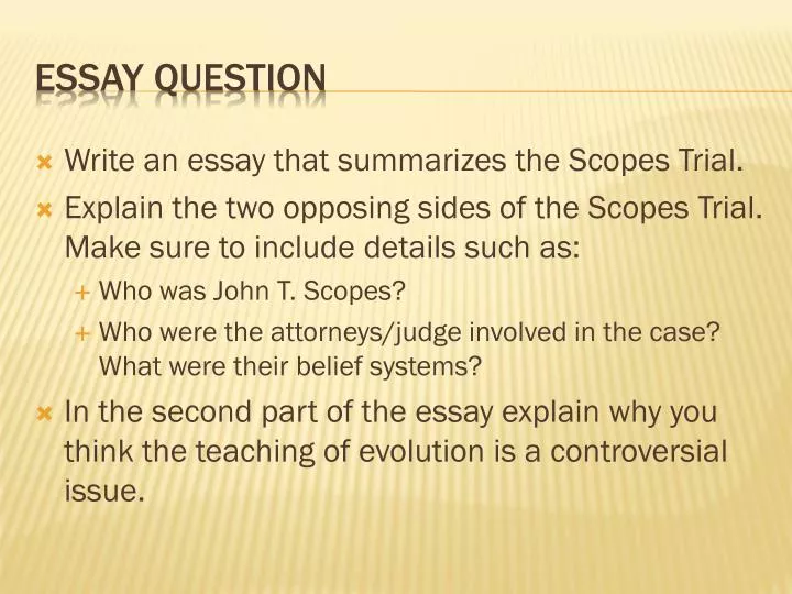 PPT - Essay Question PowerPoint Presentation, free download - ID:2638620