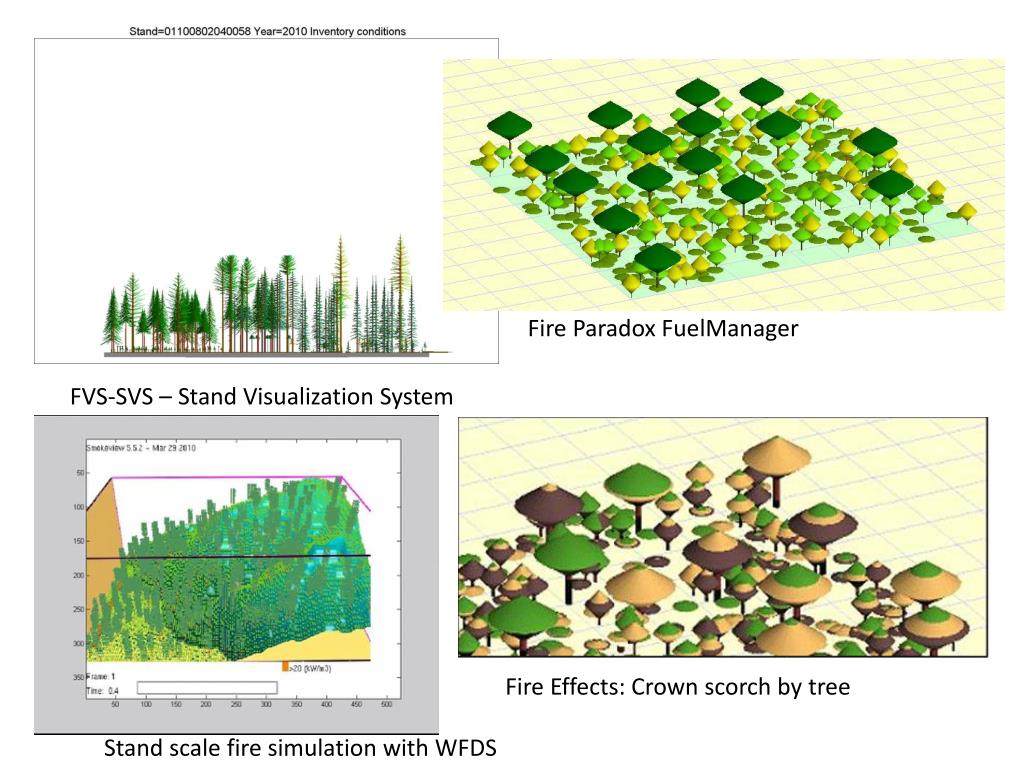 PPT - STANDFIRE Strategic thinking 12/19/2012 PowerPoint Presentation ...