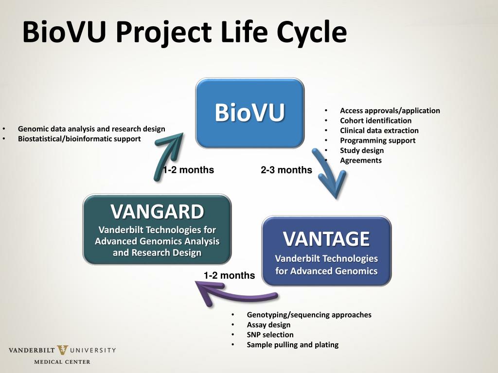PPT - BioVU and the Synthetic Derivative Erica Bowton, PhD Program ...
