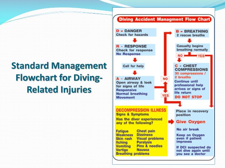 PPT - Diving Related Injuries PowerPoint Presentation - ID:2639709