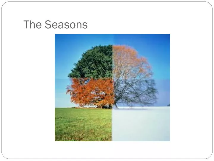 PPT - The Seasons PowerPoint Presentation, free download - ID:2640109