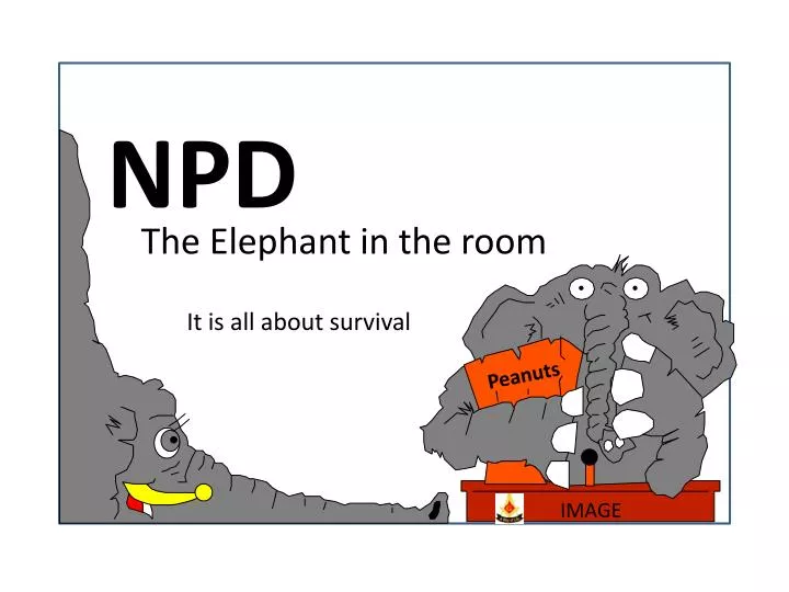 PPT - NPD PowerPoint Presentation, free download - ID:2640301