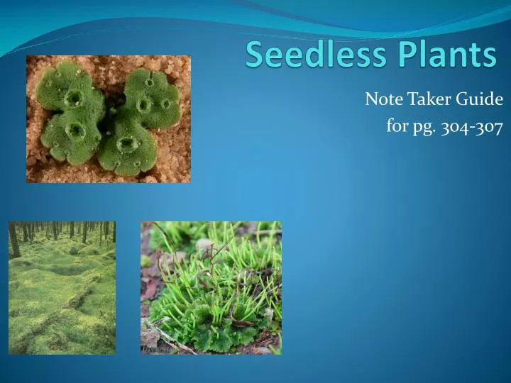 PPT - Seedless Plants PowerPoint Presentation, free download - ID:2641121