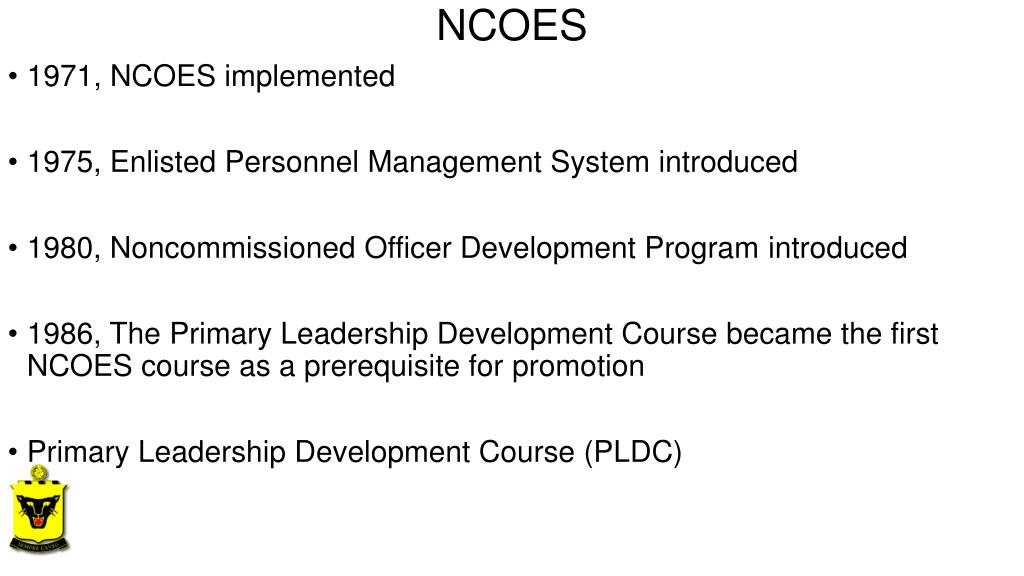 PPT - Evolution of Non-Commissioned Officers: Roles and Impact from ...