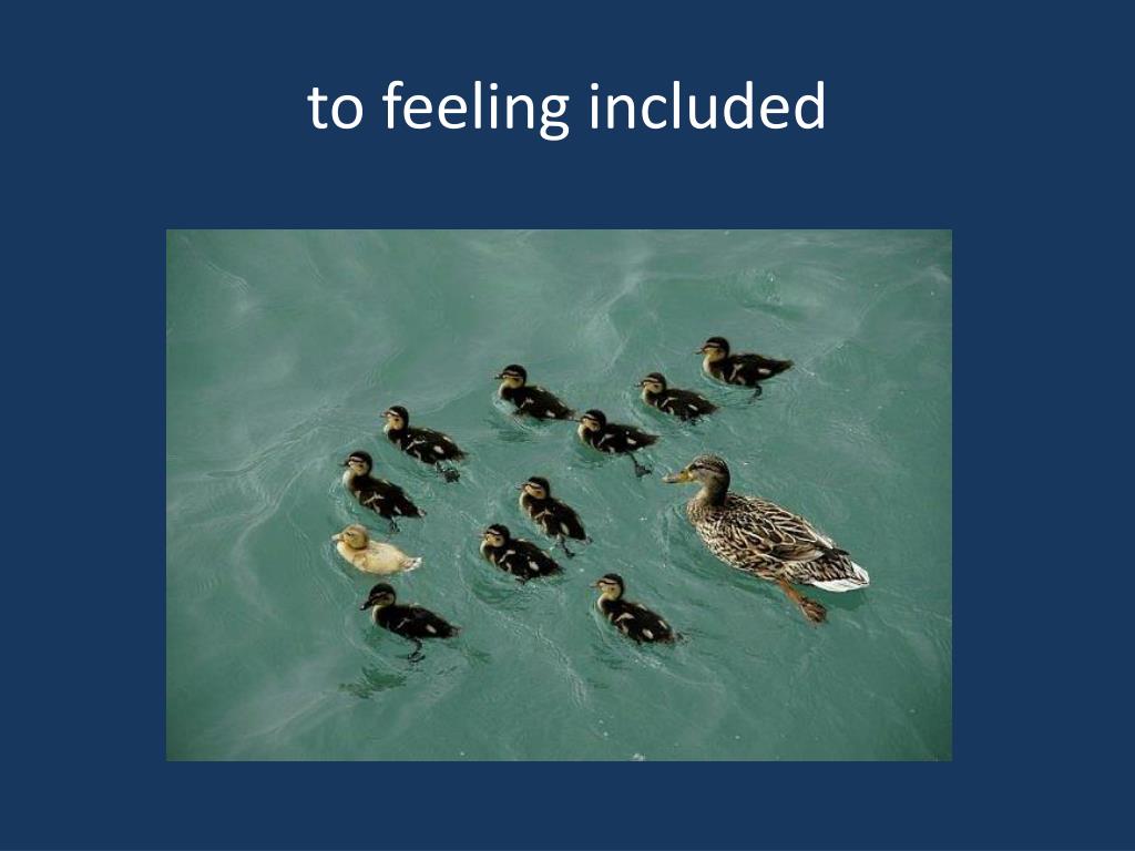 PPT - Promoting Social and Emotional Wellbeing……. PowerPoint ...