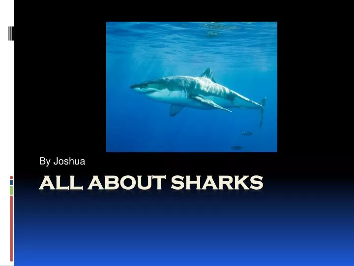 PPT - All About Sharks PowerPoint Presentation, free download - ID:2642736