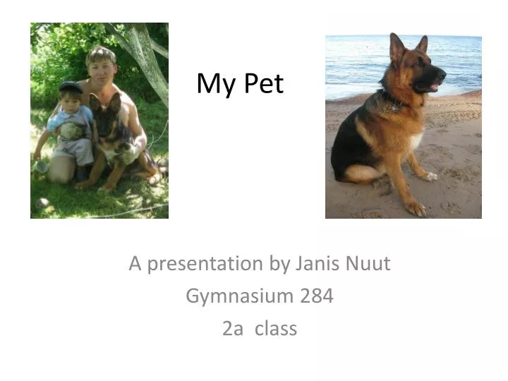 PPT - My Pet PowerPoint Presentation, free download - ID:2643048