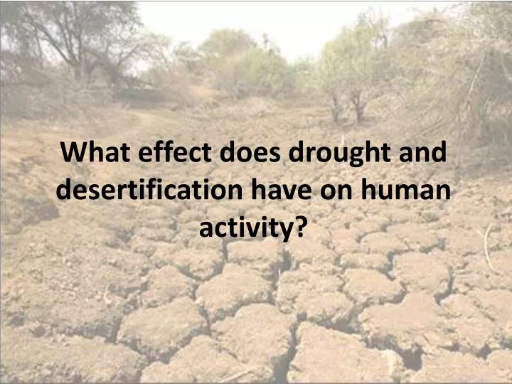 Desertification Effects