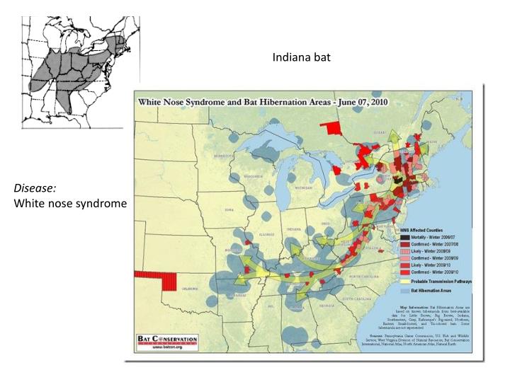 PPT - Facilitated by: Jim Mitchell, USEPA Region 5 Mike Coffey, USFWS ...