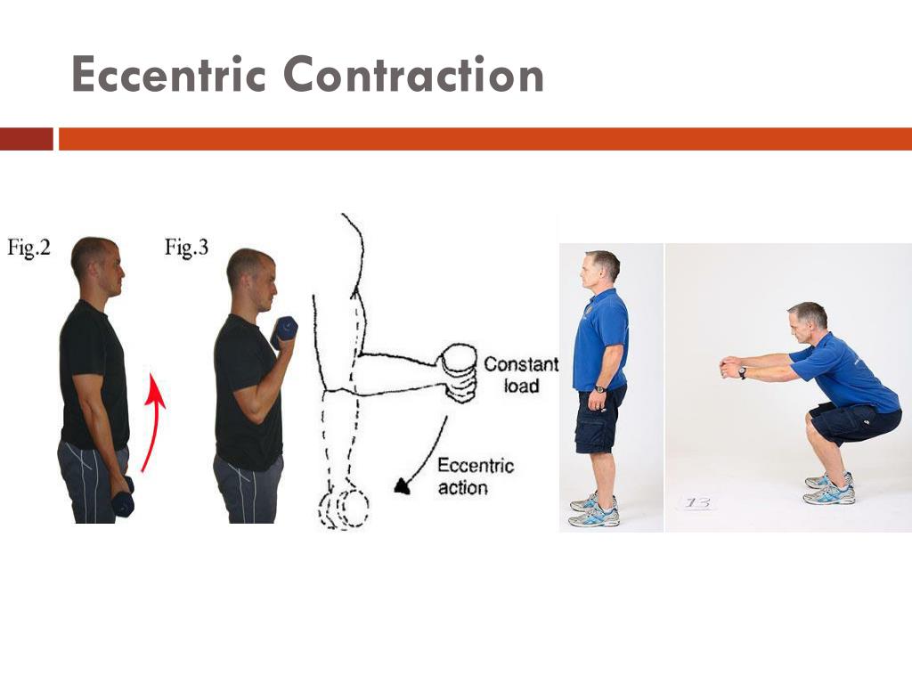 PPT - Injury Prevention and Fitness Training PowerPoint Presentation ...