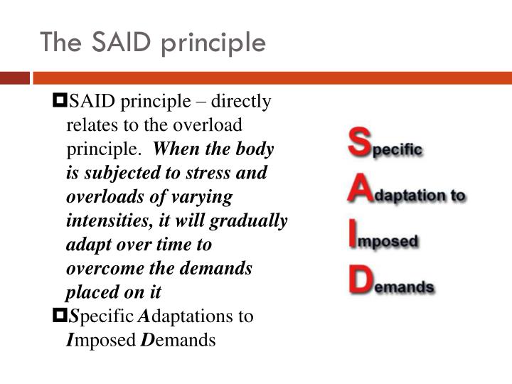 PPT - Injury Prevention and Fitness Training PowerPoint Presentation ...