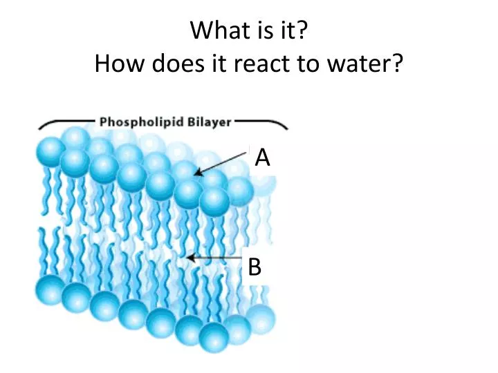 PPT - What is it? How does it react to water? PowerPoint Presentation ...