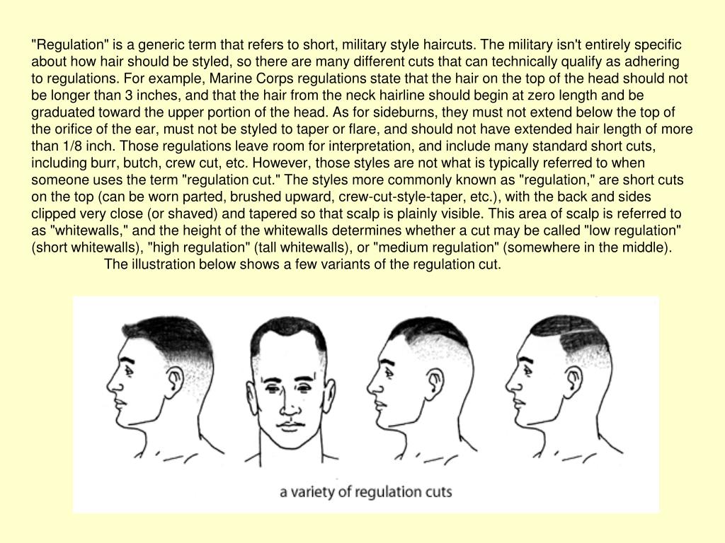 Regulation Marine Corps Haircut