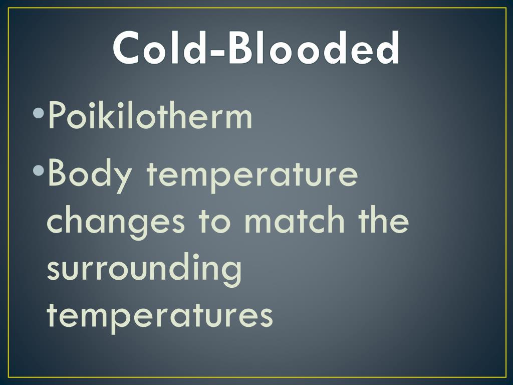 PPT - Zoology Vocabulary PowerPoint Presentation, free download - ID ...