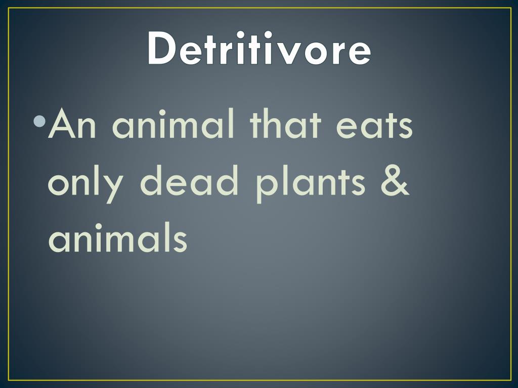 PPT - Zoology Vocabulary PowerPoint Presentation, free download - ID ...