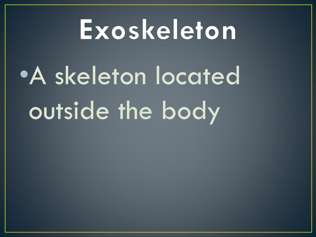 PPT - Zoology Vocabulary PowerPoint Presentation, free download - ID ...