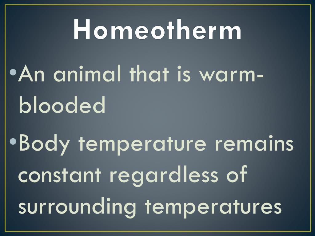 PPT - Zoology Vocabulary PowerPoint Presentation, free download - ID ...