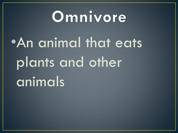 PPT - Zoology Vocabulary PowerPoint Presentation - ID:2646793