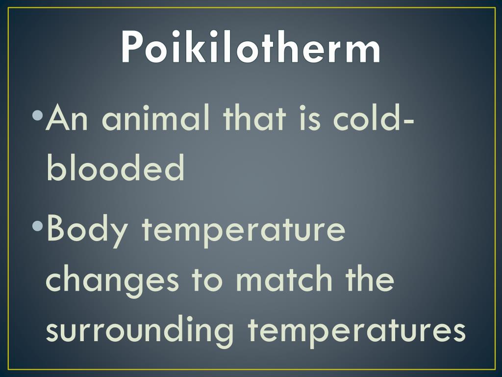 PPT - Zoology Vocabulary PowerPoint Presentation, free download - ID ...