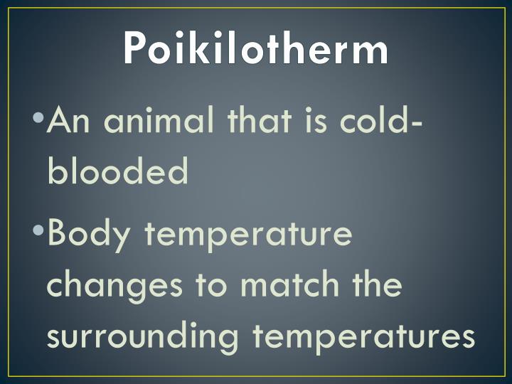 PPT - Zoology Vocabulary PowerPoint Presentation - ID:2646793