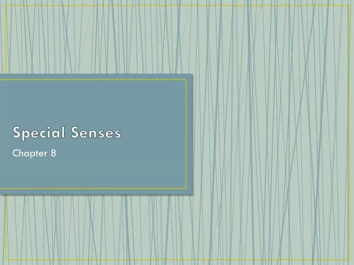 PPT - Special Senses PowerPoint Presentation, free download - ID:2647055