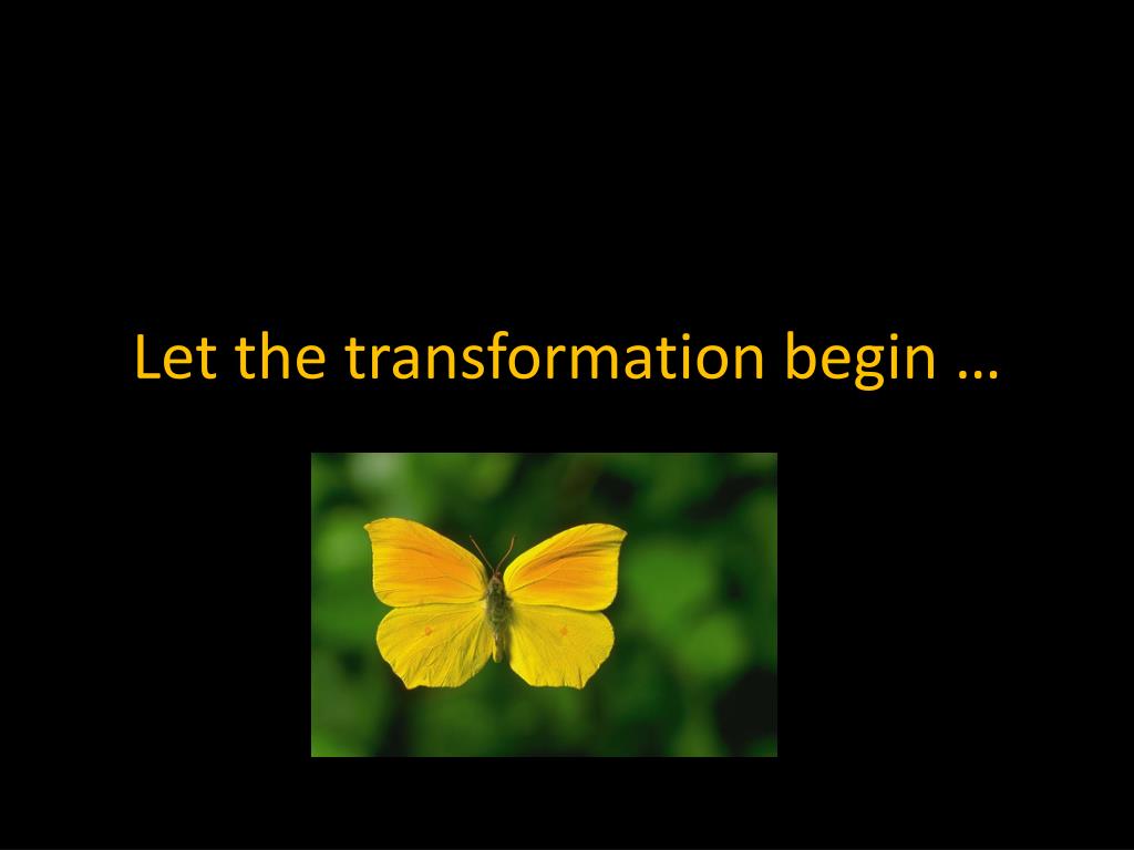 PPT - Leadership and Strategies: Transforming Their Organizations ...