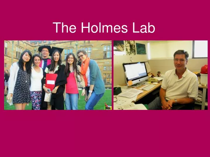 PPT - The Holmes Lab PowerPoint Presentation, free download - ID:2647874