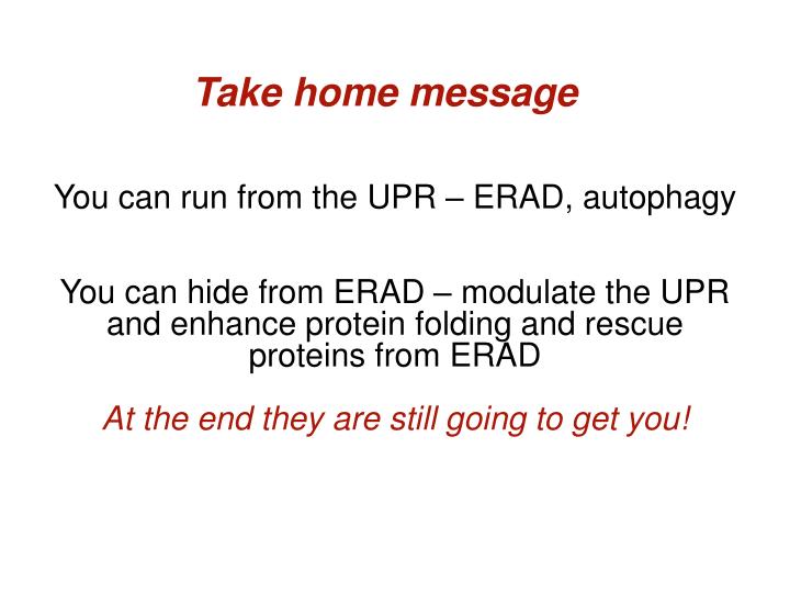 PPT - The Unfolded Protein Response (UPR) & The Endoplasmic Reticulum ...