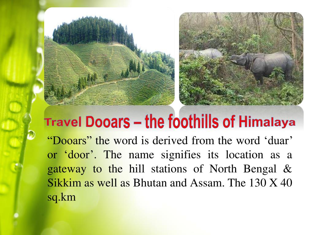 PPT - Travel Dooars – the foothills of Himalaya PowerPoint Presentation ...