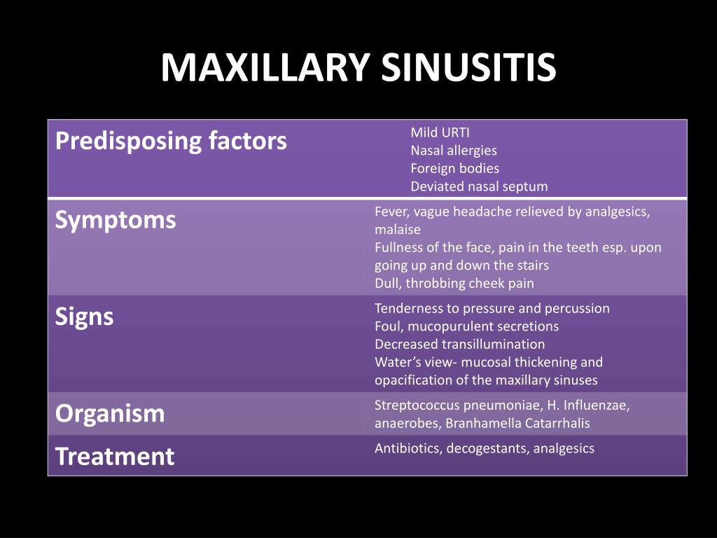 PPT - PARANASAL SINUSES Anatomy, Physiology and Diseases PowerPoint ...