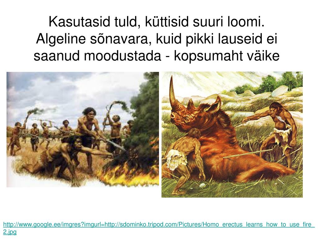 PPT - INIMESE PÕLVNEMINE Koostas Kersti Veskimets PowerPoint ...