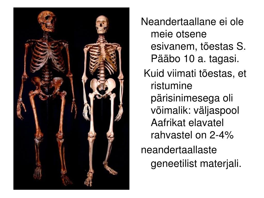 PPT - INIMESE PÕLVNEMINE Koostas Kersti Veskimets PowerPoint ...