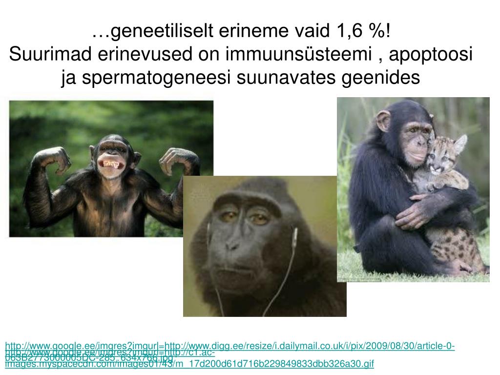PPT - INIMESE PÕLVNEMINE Koostas Kersti Veskimets PowerPoint ...